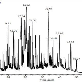 Representative GC MS Chromatogram Of Derivatized Methanolic Extract Of Download Scientific
