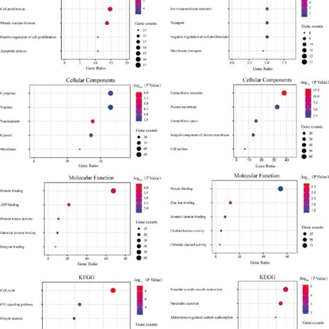 The Gene Ontology Go And Kyoto Encyclopedia Of Genes And Genomes