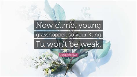 Ilona Andrews Quote “now Climb Young Grasshopper So Your Kung Fu Won