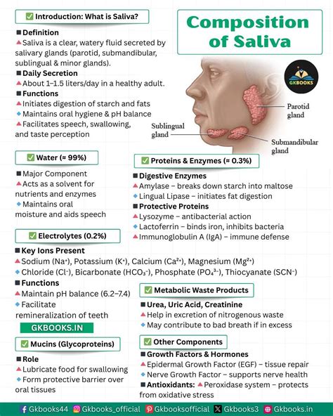 Gkbooks Saliva Is Far More Than Just A Watery Fluid — Its A Powerful