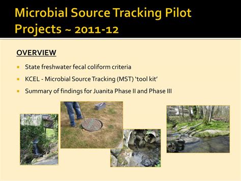 Ppt Microbial Source Tracking Pilot Projects ~ 2011 12 Powerpoint Presentation Id1856249