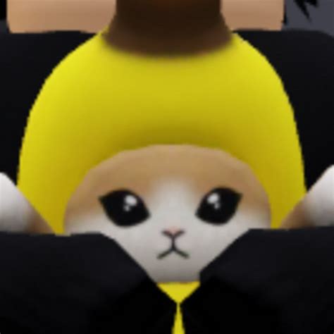 Squirell Youtube