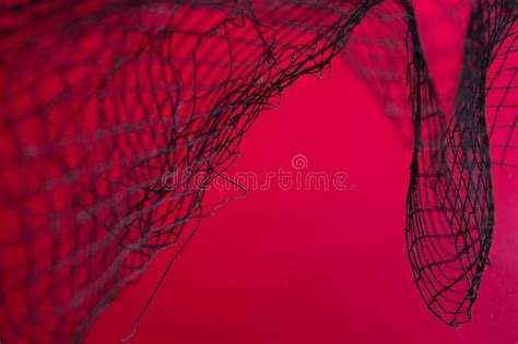 Free Form Curve Of Black Rustic Wire Mesh Stock Image Image Of