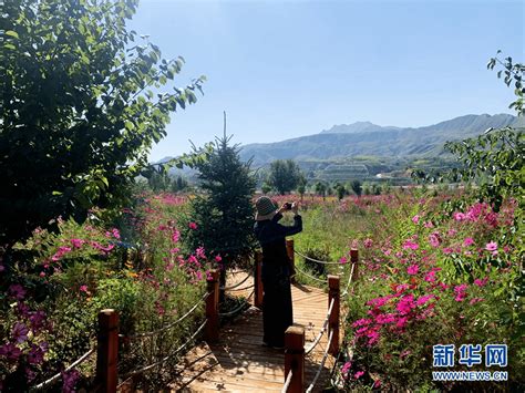 聚焦青海两会文旅有话说打造生态旅游示范景区 发展 风景 文化