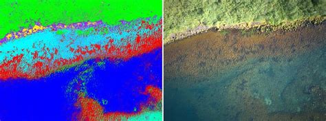 Overview Of The Endmember Classes Obtained With The Maximum Likelihood Download Scientific