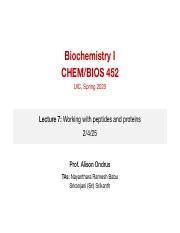Understanding Peptides and Proteins: Key Concepts in Biochemistry | Course Hero
