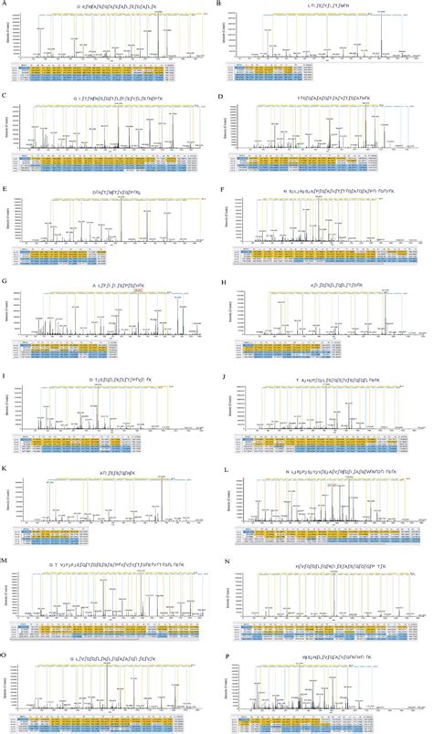 Ms2 Spectrum Of Annotated Characteristic Peptides Found Within The