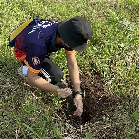 TREE PLANTING ACTIVITY