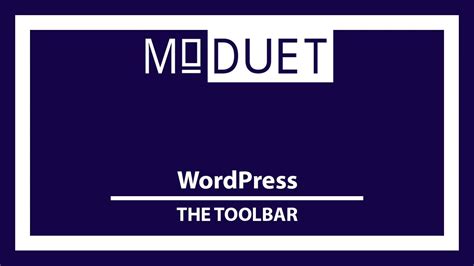 Wordpress Toolbar Youtube