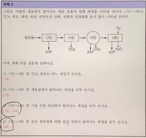 세포 호흡 과정 지식in