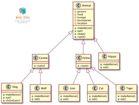 Hướng Dẫn Chi Tiết Cách Sử Dụng Lớp Trừu Tượng Java