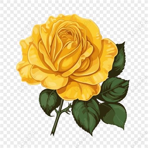 노란 장미 벡터상표만화클립 아트 Png 일러스트 무료 다운로드 Lovepik