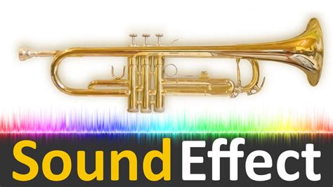 Trumpet Sound
