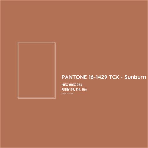 About Pantone 16 1429 Tcx Sunburn Color Color Codes Similar Colors