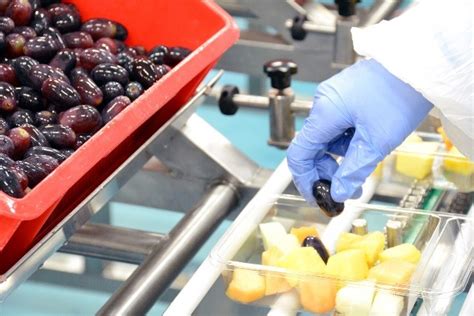 Pa Packaging Automation Eclipse Sl2 Feeder Scale Sorting Machine