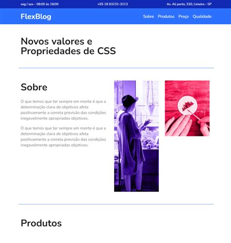 GitHub MuriWolf Origamid Flexbox Project Projeto Final Do Curso De