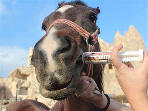 Farmann Horse Calmix Paste