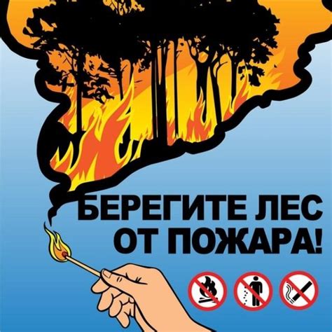 Картинки "берегите лес от пожара" (46 картинок) ⋆ GifFun.ru