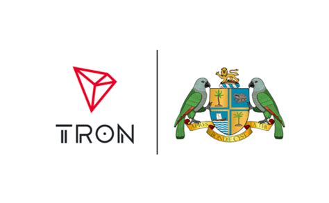 波场tron将牵头多米尼克元宇宙数字身份项目开发 知乎