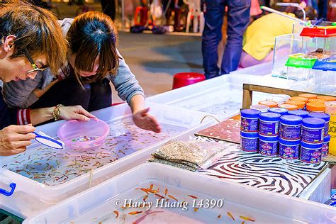 Harry14390撈魚撈金魚樹林大安花園觀光夜市花園觀光夜市觀光夜市夜市逛街購物逛夜市地攤擺地攤擺攤夜生活新