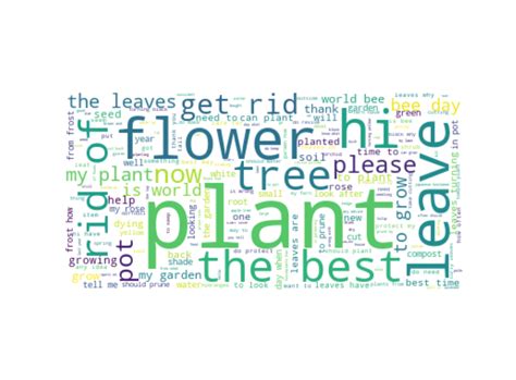 Our Qanda Bot And Wordcloud In Python By Amine Chakhchoukh Towards Data
