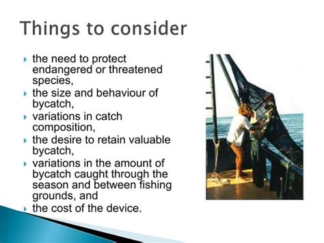 Bycatch Reduction Devices Pptx