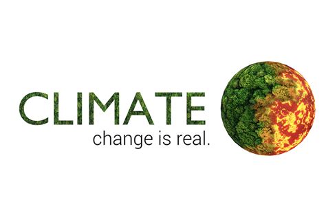 Cambiamenti Climatici Storia Cause E Conseguenze