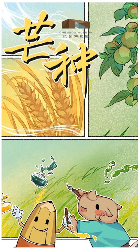 芒种 时雨及芒种四野皆插秧 成都博物馆