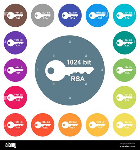1024 bit rsa encryption flat white icons on round color backgrounds 17