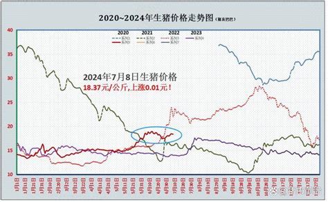 一夜大变！猪价下跌“踩刹车” 市场情绪与天气因素交织中华网