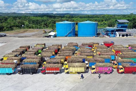 Kementan Ajak Swasta Bangun Pabrik Gula Rp 3 T Di Food Estate Merauke