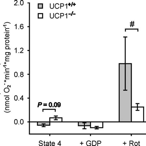 Physiological Significance Of Mitochondrial Uncoupling On Mitochondrial