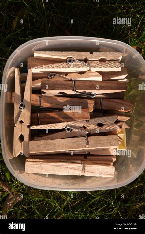 Clothes Pegs Wooden In Plastic Container Grass Background Semi Close