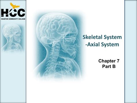 Skeletal System Axial System Docslib