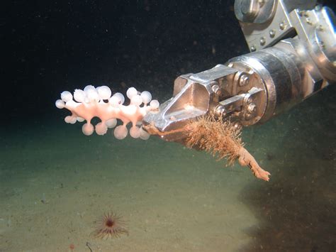 Additions To Resource Industry Underwater Robots Can Boost Ocean