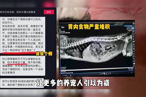 君子爱财，取之有道，别拿猫咪性命开玩笑。 猫咪 性命