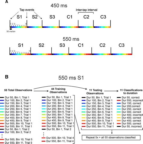 The Computational And Neural Basis Of Rhythmic Timing In Medial Premotor Cortex Journal Of