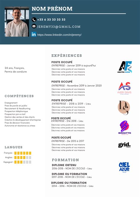 French Professional Cv Template Helpin