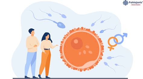 Understanding Male Infertility Testing Expert Care