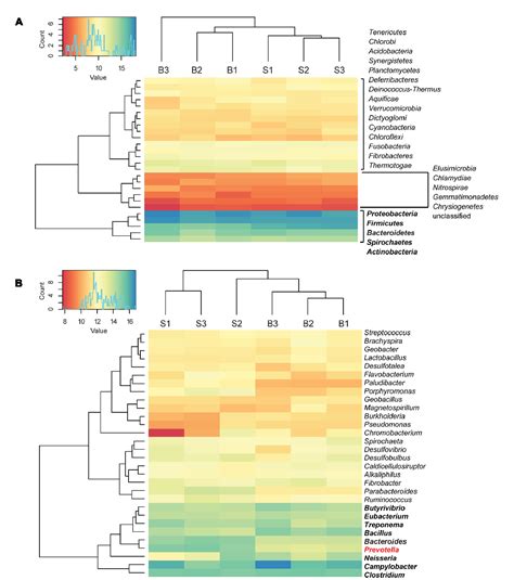 Figure 1 From Metatranscriptome Sequencing Reveals Insights Into The Gene Expression And