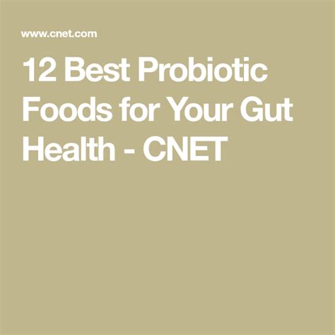 12 Best Probiotic Foods To Eat For Gut Health