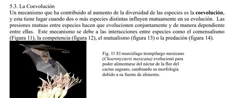 Tomi Digital Mecanismos De Macroevolución