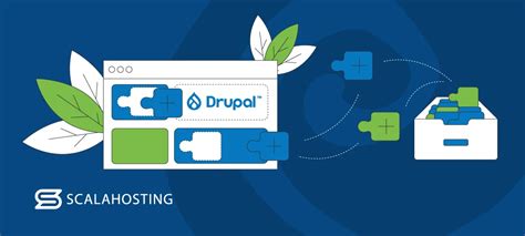 Performance Optimization Techniques For Drupal Hosting Scalahosting Blog
