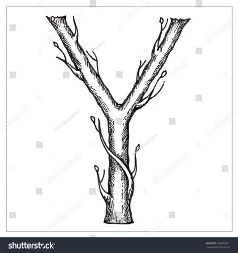 Hand Drawn Cursive Font Form Tree Stock Vector Royalty Free Shutterstock