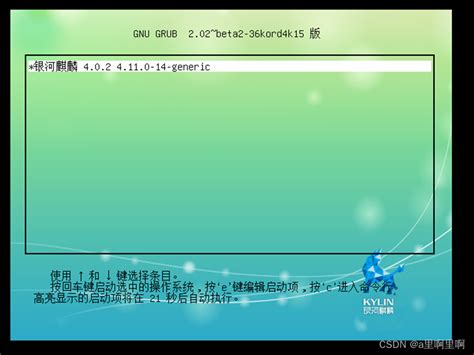 银河麒麟开机出现initramfs问题解决方法initramfs开不了机 Csdn博客