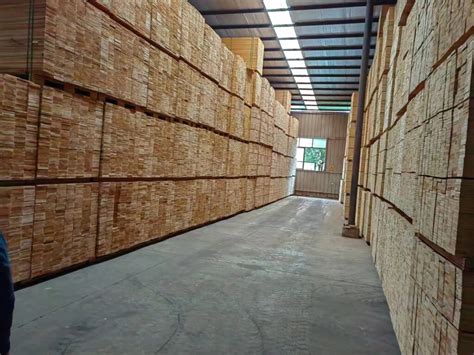 Wada The Beauty And Durability Of Japanese Cedar Fencing