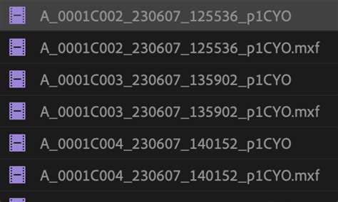 Media Bin File Extensions Duplicate Media Problem Rpremiere