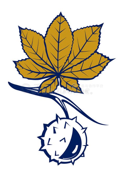 奥兰高清图片 栗子叶 栗子叶图片免费下载 5114963075 千图网pro