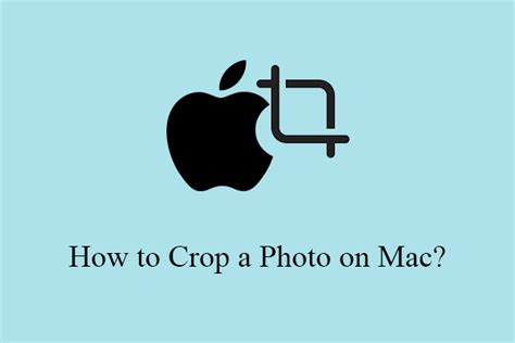 Ways How To Crop A Photo On Mac By Photos Preview Apps
