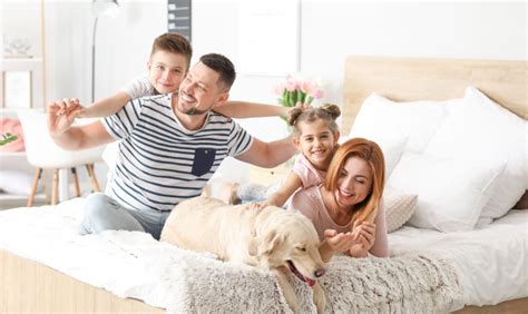 Bed Bug Control In Riverhead Local Bed Bug Exterminator